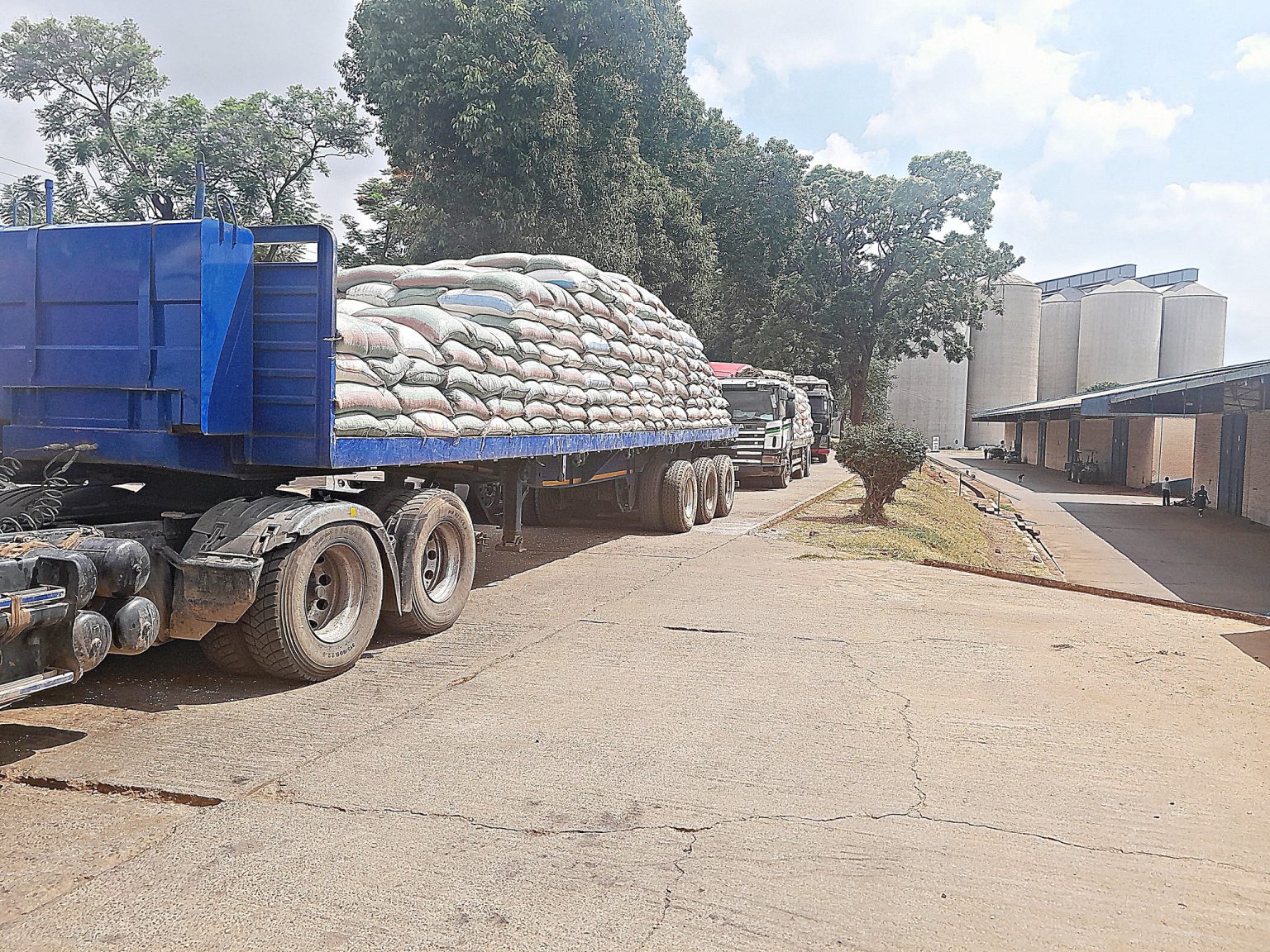 Strategic Replenishment of Grain Reserves: Ensuring Seasonal Food ...